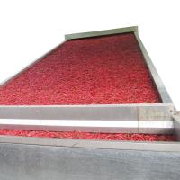 China Precise Temperature Control Pulse Air Supply Chili Dryer Machine Intelligent Operation for sale
