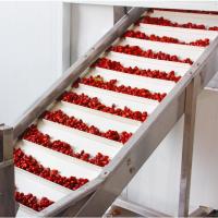 China Multilayer Dates Belt Drying Equipment PLC Control Circulating Hot Air Heating for sale