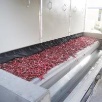 China Multilayer Dates Belt Drying Equipment PLC Control Circulating Hot Air Heating for sale
