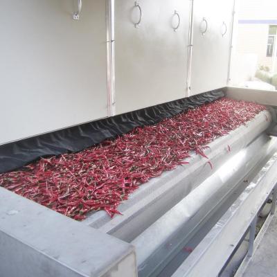 China Multilayer Dates Belt Drying Equipment PLC Control Circulating Hot Air Heating for sale