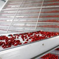 China Multilayer Dates Belt Drying Equipment PLC Control Circulating Hot Air Heating for sale