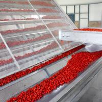 China Multilayer Dates Belt Drying Equipment PLC Control Circulating Hot Air Heating for sale