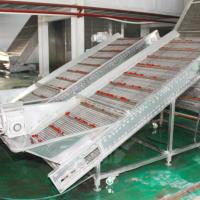 China Dehydration Automatic Mesh Belt Drying Machine 400kg/ H 1.1kw Color Retention for sale