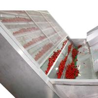 China ISO SGS Mesh Belt Dryer Machine PLC Control For Irregular Lumps Red Dates for sale