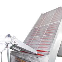 China ISO SGS Mesh Belt Dryer Machine PLC Control For Irregular Lumps Red Dates for sale
