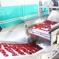 China HengShou Mesh Belt Fruit And Vegetable Dryer Machine Electric Heating 50C To 120C for sale