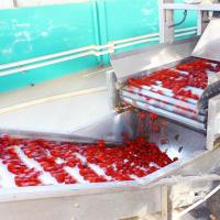 China HengShou Mesh Belt Fruit And Vegetable Dryer Machine Electric Heating 50C To 120C for sale