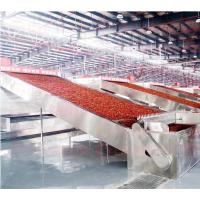China High Speed Industrial Fruit Vegetable Drying Equipment 380V 10kw To 40kw for sale