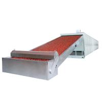 China 400 To 700kg/ H Citrus Mesh Belt Dryer Equipment Big Capability for sale