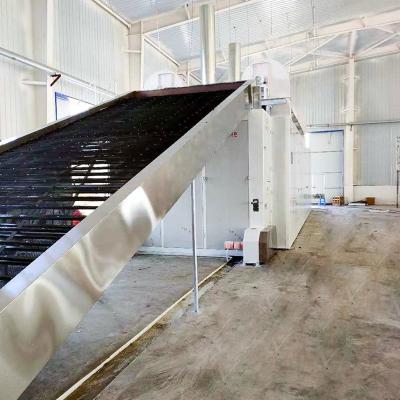 China Camellia Seed Tea Leaf Dryer Machine ISO Fruit Drying Processing Line for sale