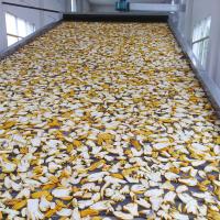 China 1.1kw Automatic Continuous Belt Dryers Tomato Drying Equipment MultiLayer for sale