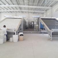 China Multipurpose Potato Drying Konjac Drying Machine Production Line Eco Smart Start for sale