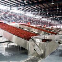 China ODM SGS Fruit Vegetable Processing Line Multilayer Drying And Cleaning Combination for sale