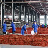 China Rustproof Konjac Drying Production Line For Herbs 3.75KW 1000kg/ H for sale