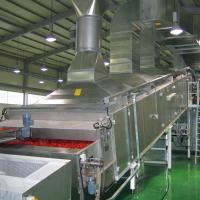 China HengShou Carrot Tomato Fruit Vegetable Processing Line 300 To 1000kg/ H for sale
