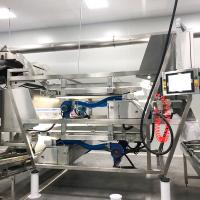 China HengShou Carrot Tomato Fruit Vegetable Processing Line 300 To 1000kg/ H for sale