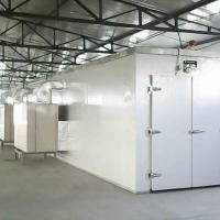 China 6 Trolley Industrial Drying Ovens Shellfish Beef Jerky Commercial Meat Dryer ODM for sale