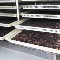 China Commercial Codonopsis Pueraria Chips Food Cabinet Dryer Herb Heat Pump Dehydrator for sale