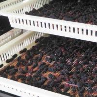 China Industrial Winter Melon Fruit Food Cabinet Dryer Dehydrator 57KW 3000kg for sale
