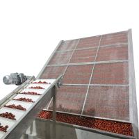 China Jujube Belt Drying Equipment 50 To 150mm Material for sale