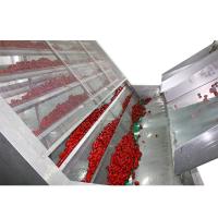 China 0.2 To 0.5mPa Steam Air Recycling Red Dates Mesh Belt Dryer Machine For Fruit for sale
