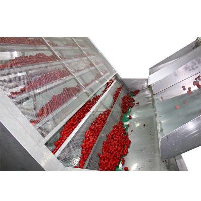 China 0.2 To 0.5mPa Steam Air Recycling Red Dates Mesh Belt Dryer Machine For Fruit for sale