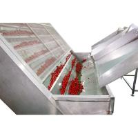 China 0.2 To 0.5mPa Steam Air Recycling Red Dates Mesh Belt Dryer Machine For Fruit for sale