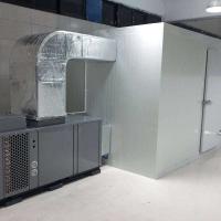 China Honeysuckle Mint Leaves Oven Drying Machine 1000Kg for sale