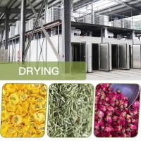 China ODM ISO Industrial Chrysanthemum Flower Drying Machine Ovens 140*90cm 90 Trays for sale