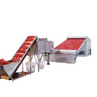 China Konjac Slices Conveyor Belt Dryer System Large Output Odorless for sale