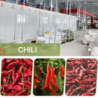 China Air Heating Continuous Conveyor Belt Dryers For Seasoning Fruit And Vegetable for sale