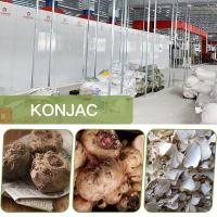 China Air Heating Continuous Conveyor Belt Dryers For Seasoning Fruit And Vegetable for sale