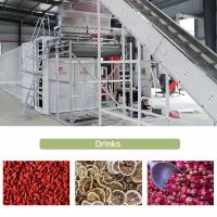 China Air Heating Continuous Conveyor Belt Dryers For Seasoning Fruit And Vegetable for sale