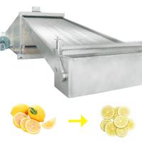 China Fruit Category Mesh Belt Drying Equipment Maintain High Quality Drying for sale