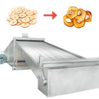 China Fruit Category Mesh Belt Drying Equipment Maintain High Quality Drying for sale