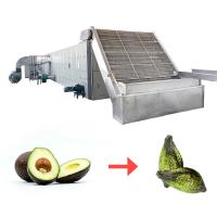 China Personalized Customization Mesh Belt Drying Equipment Reuse And Recycling for sale