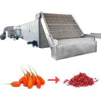China Multifunctional Mesh Belt Dryer Machine Stainless Steel Delicate Treatment Fruit for sale