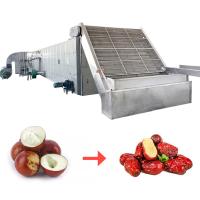 China Multifunctional Mesh Belt Dryer Machine Vegetables And Fruits Tea And Herbs for sale