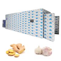 China SGS SS304 Onion Garlic ginger Podwer Food Cabinet Dryer Automatic Spicy Processing Machine for sale