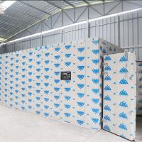China SGS SS304 Onion Garlic ginger Podwer Food Cabinet Dryer Automatic Spicy Processing Machine for sale