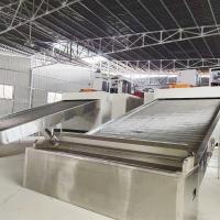 China Chain Plate Dryer Stainless Steel Particle Dryer Mesh Belt Dryer for sale