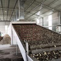 China Honeysuckle Customize Mesh Belt Continuous Dryer Equipment for sale