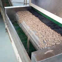 China High Efficiency Chili Continuous Belt Dryer Large Scale Production for sale