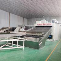 China High Efficiency Chili Continuous Belt Dryer Large Scale Production for sale