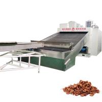 China Delicate Products Belt Chili Dryer Machine With Low Temperature Drying Capability for sale