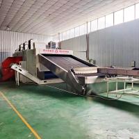China Delicate Products Belt Chili Dryer Machine With Low Temperature Drying Capability for sale