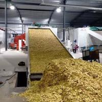 China Energy Efficient Continuous Belt Dryer Chili Advanced Heat Recovery System for sale
