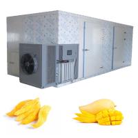 China ISO Commercial Hot Fruit Food Cabinet Dryer Mango Lemon Dehydrator for sale