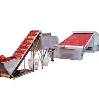 China Stainless Steel Red Dates Fruit Mesh Belt Dryer PLC Controlled 3 5 6 Layers for sale