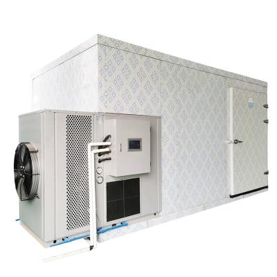 China 1000Kg Heat Pump Dry Food Oven Dryer Machine Industrial Mango Tomato Drying for sale